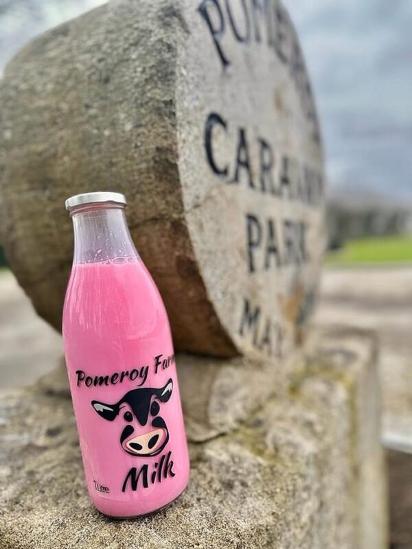 Camping – Pomeroy Farm Park