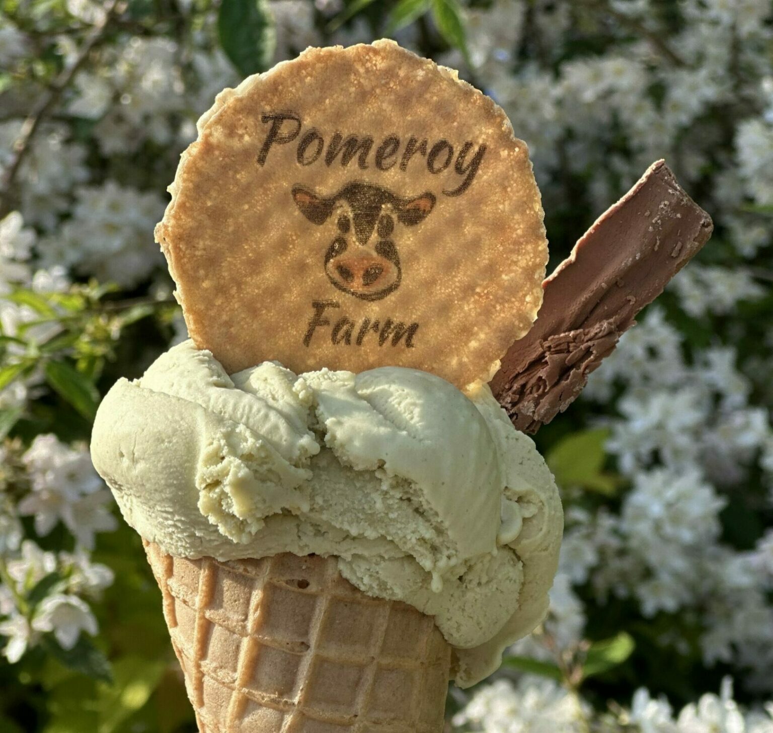 Ice Cream – Pomeroy Farm Park