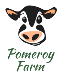 Animal Experiences – Pomeroy Farm Park